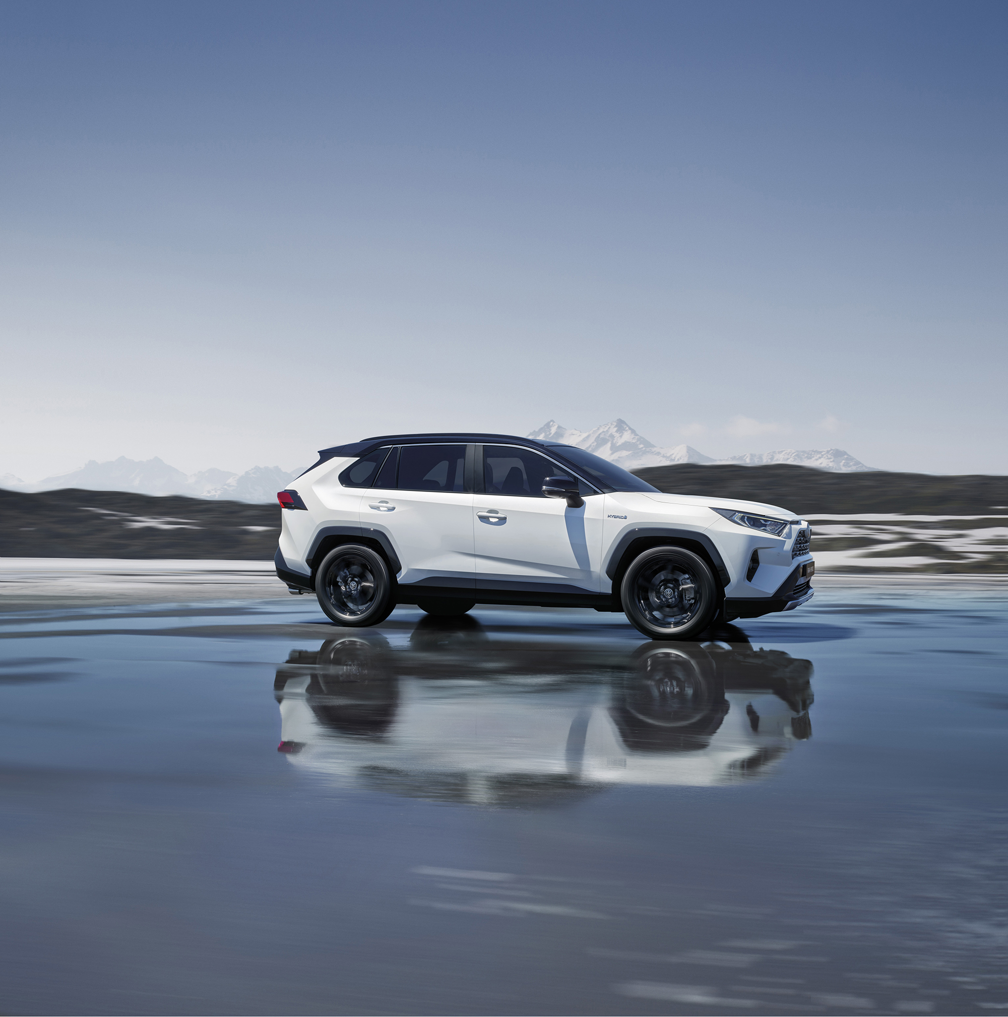 Le réseau Loxea - Loxea